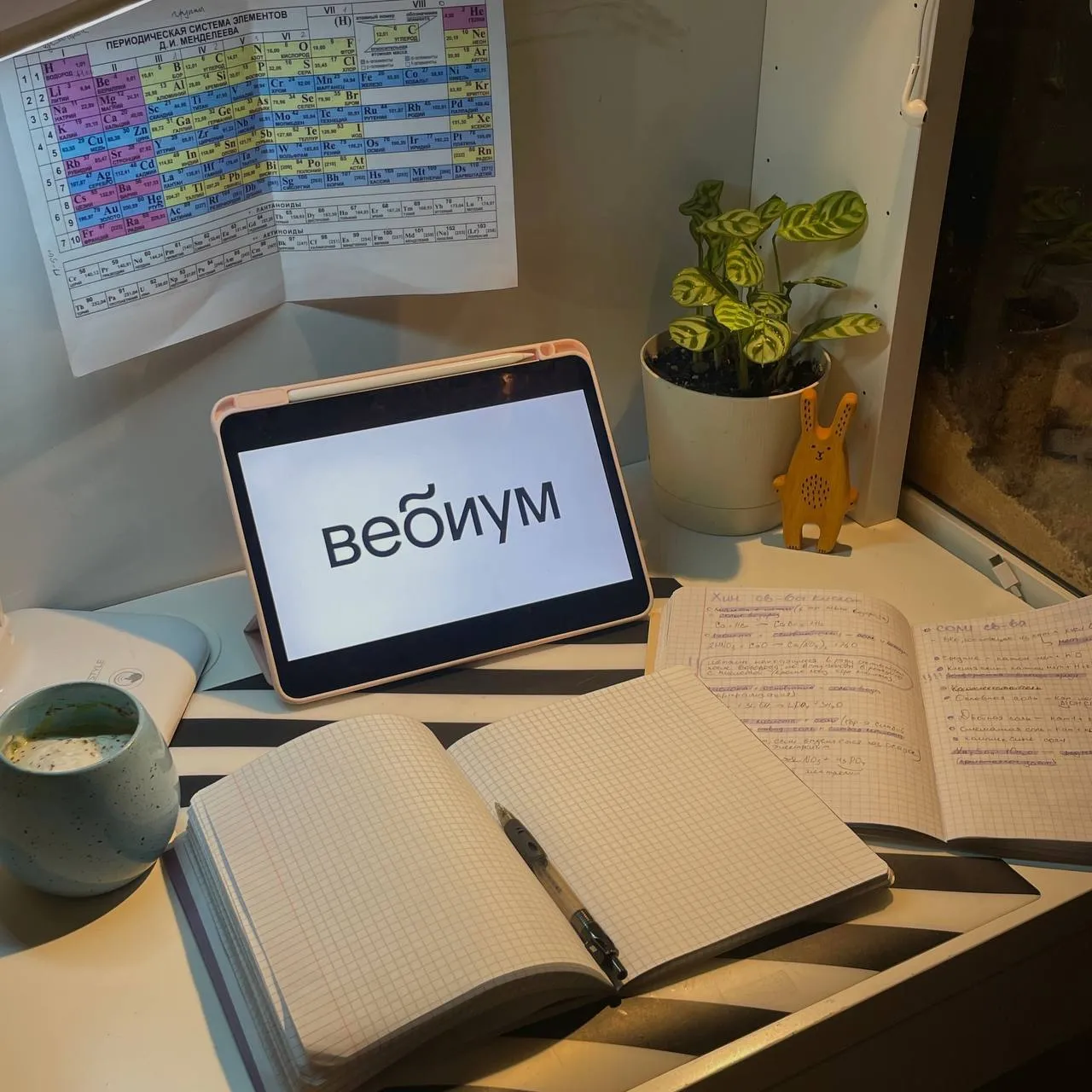 Насекомые: шпаргалка для ОГЭ по биологии - Без Сменки